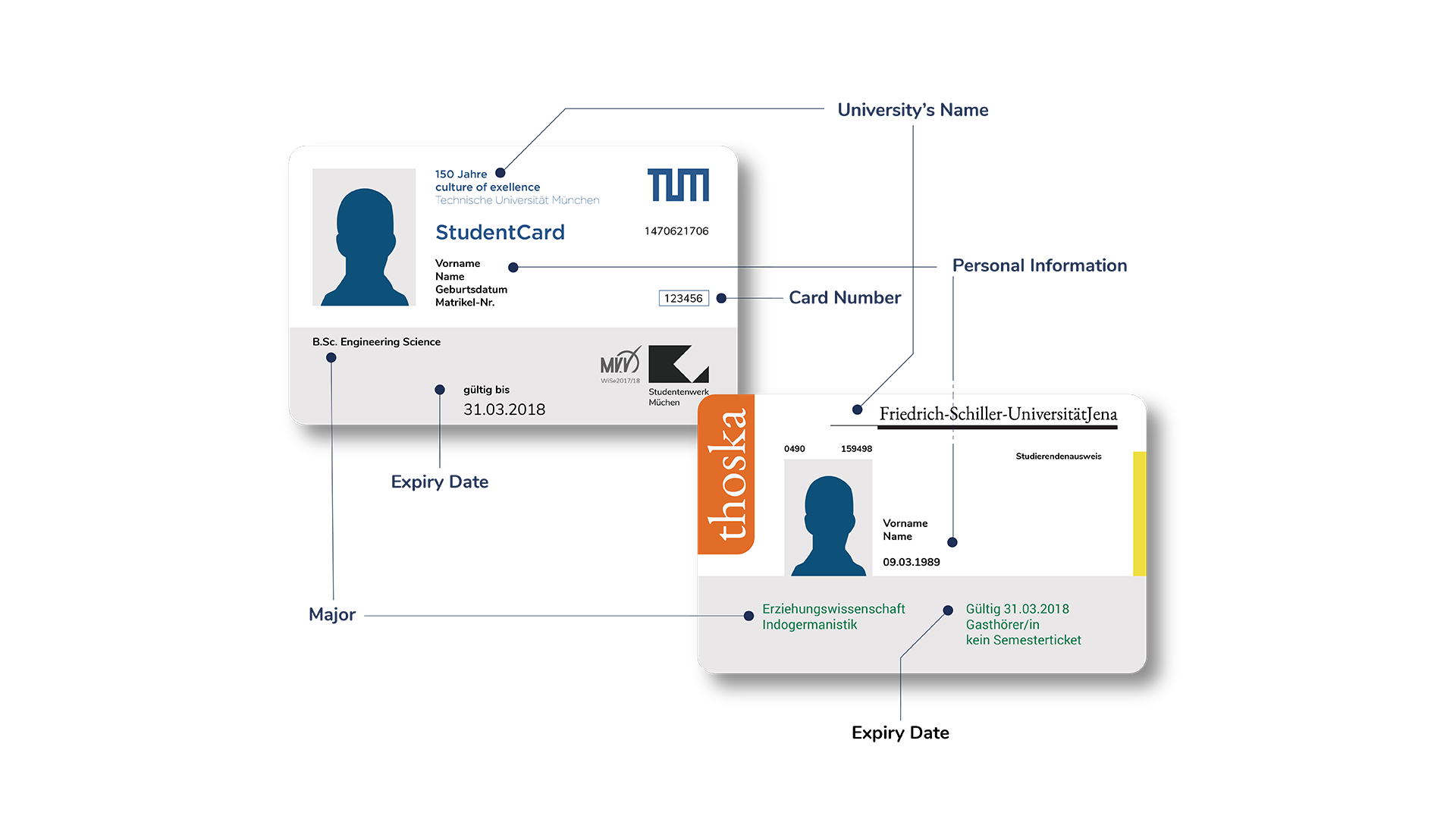Guide to Enrolling in German Universities