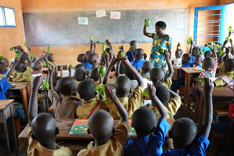 The Story of Nature Connect’s Commitment to ESD, Lifelong Learning and ...