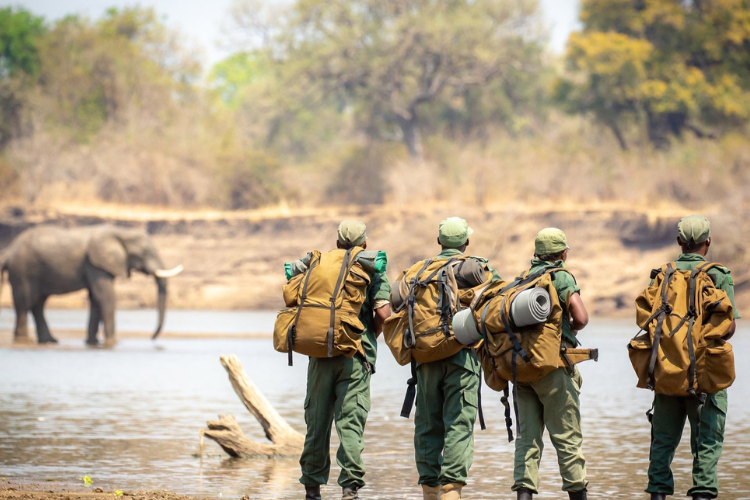 Anti-poaching and natural resource management in armed conflicts ...