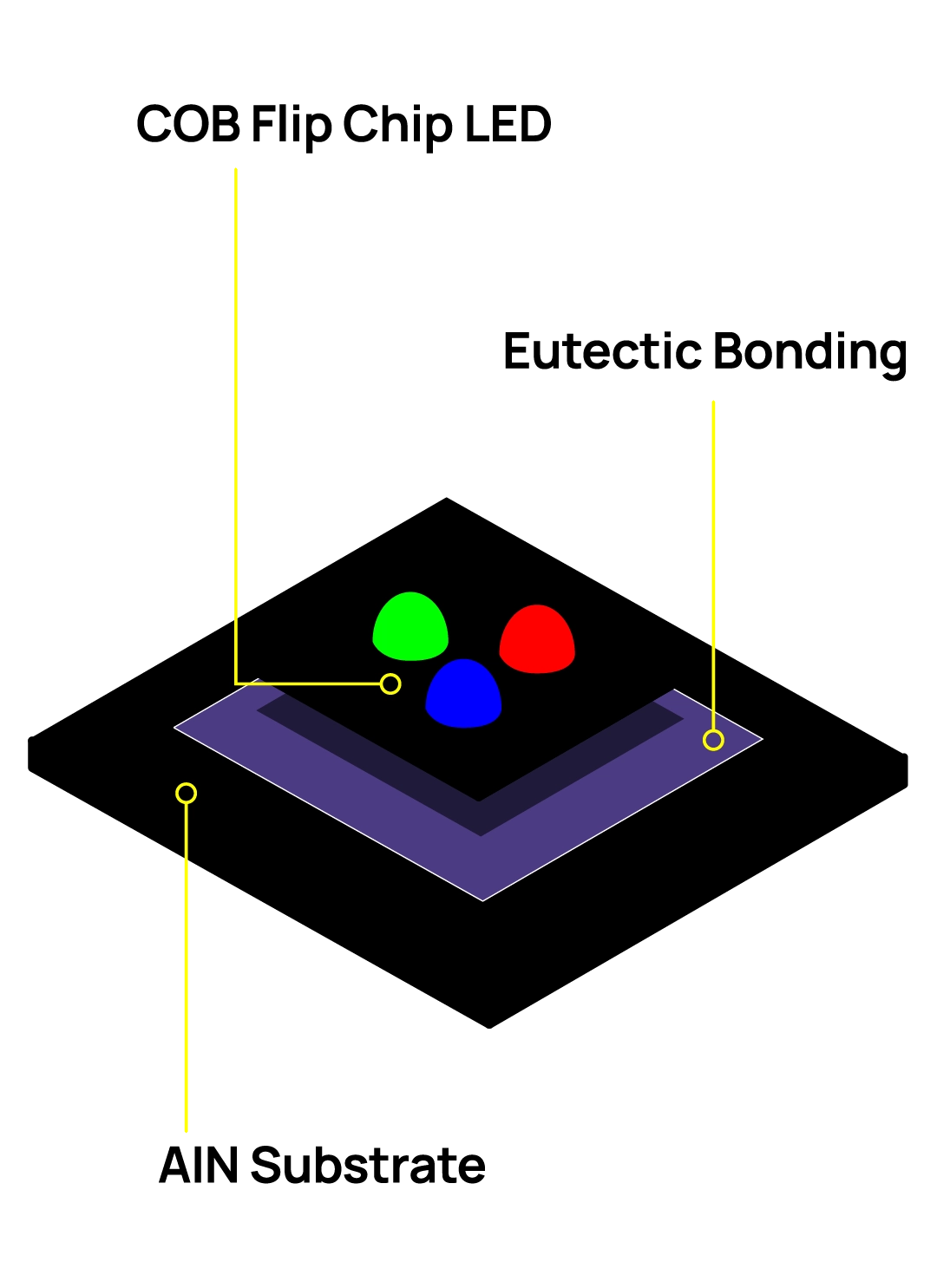 VIVID (COB) - LED Studio